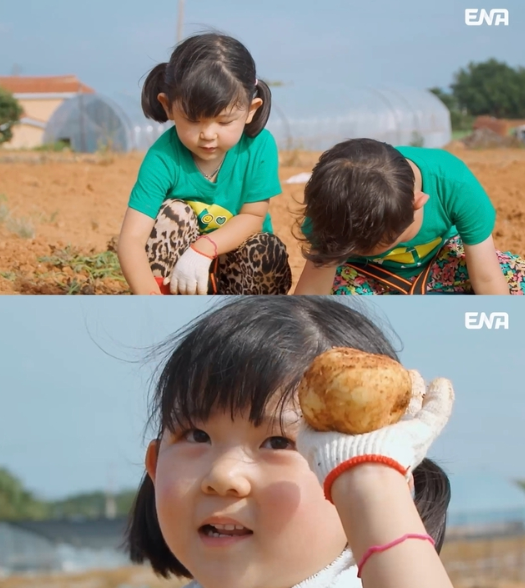 만 3세 맞아? '내생활' 도아, "아따, 허벌나게 덥네" 프로 일꾼 모습에 일동 감탄